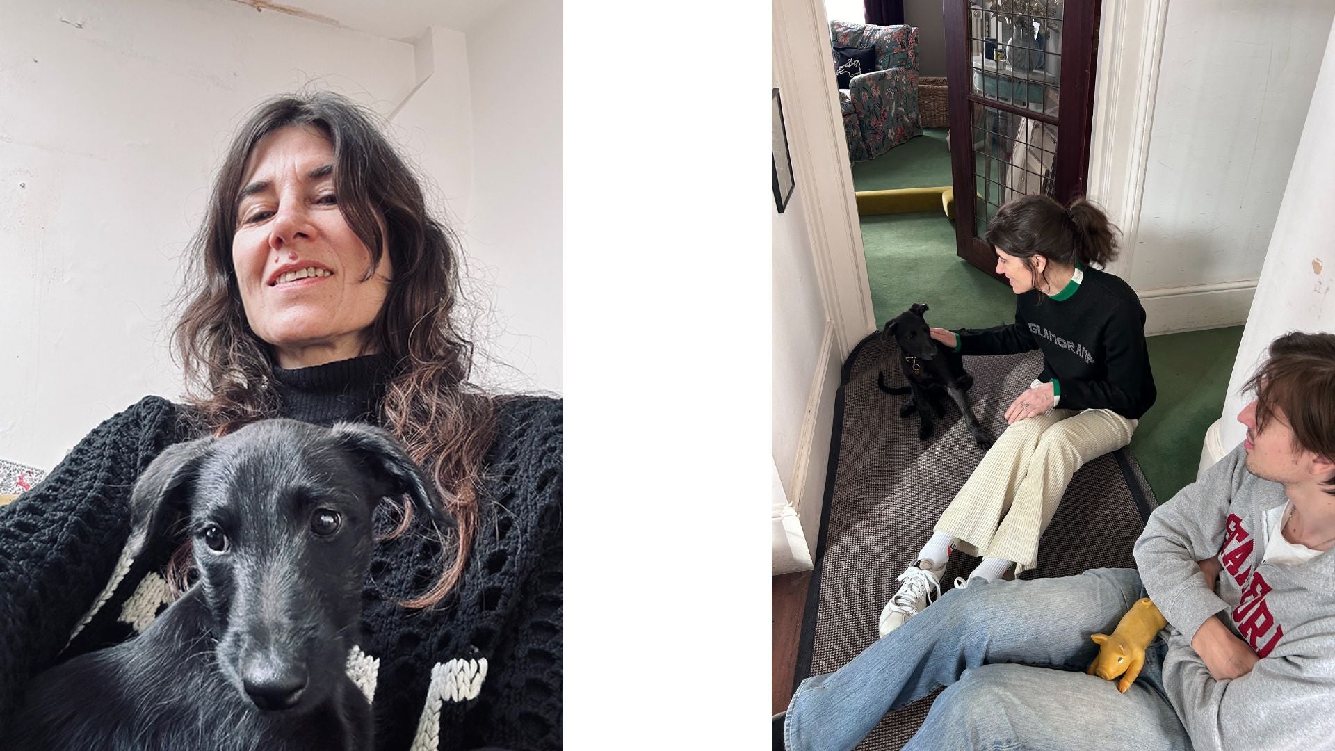 Dash the Dog – Bella Freud